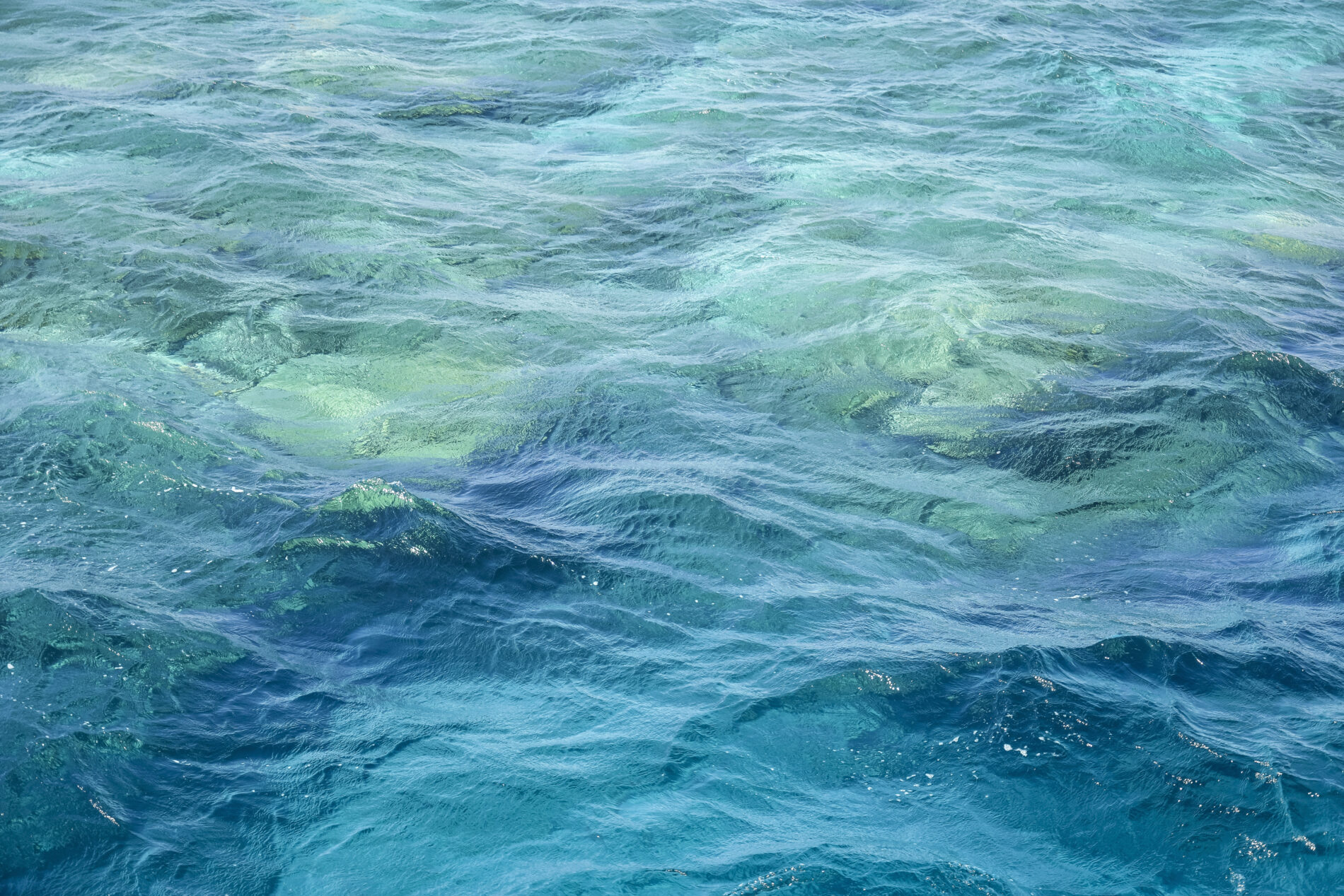 Seawater Standard for Nutrient Measurement (KANSO Technos CRM) | 西進商事株式会社